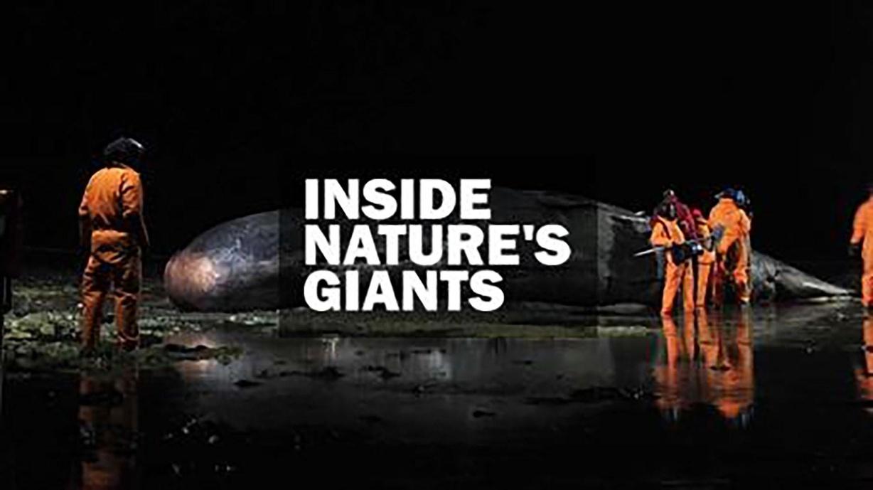 Inside Nature's Giants | Watch on PBS Wisconsin