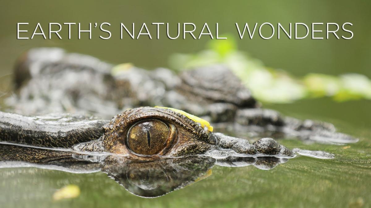 Earth's Natural Wonders | Video | NJ PBS