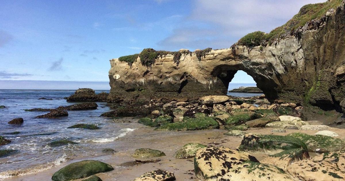 California Coastal Trail | PBS
