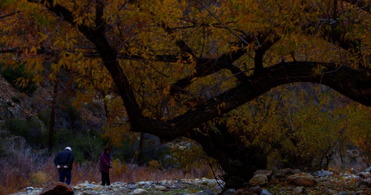 Hunting the Stone: Suiseki in the West | PBS