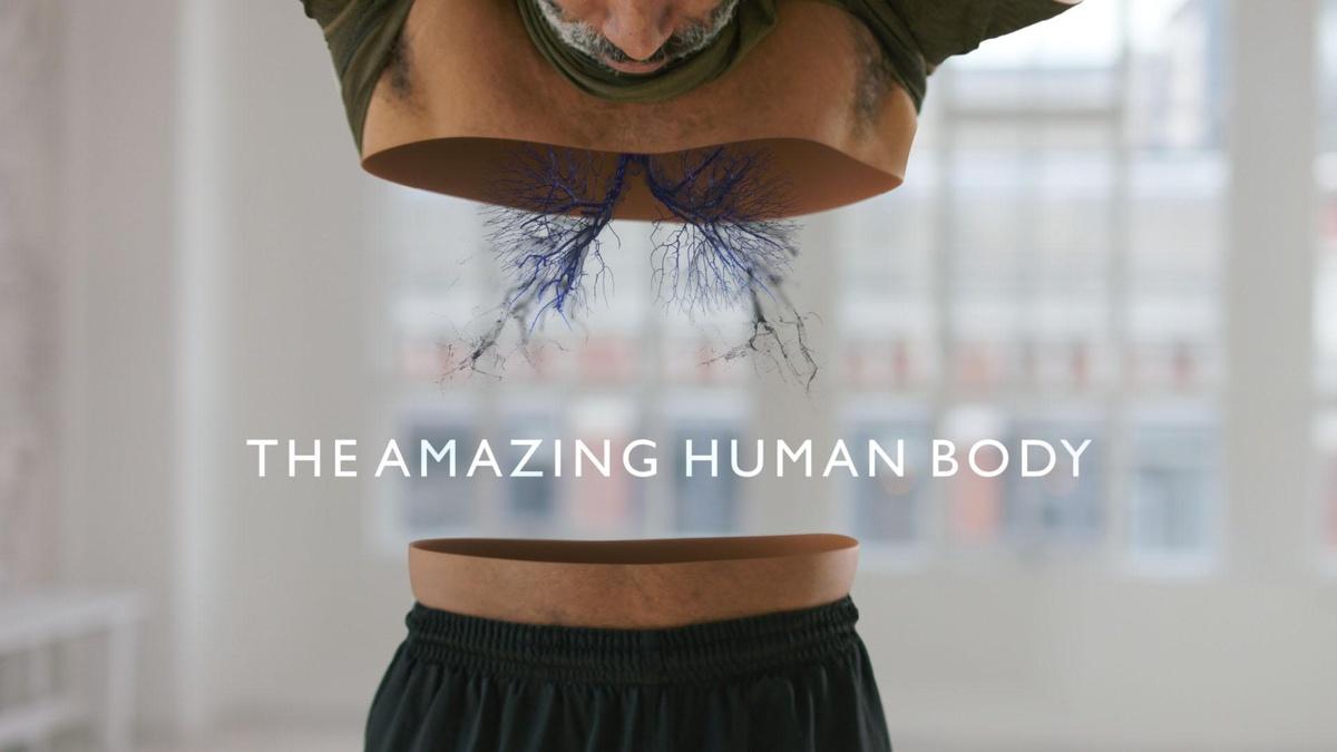 The Amazing Human Body | Video | THIRTEEN - New York Public Media