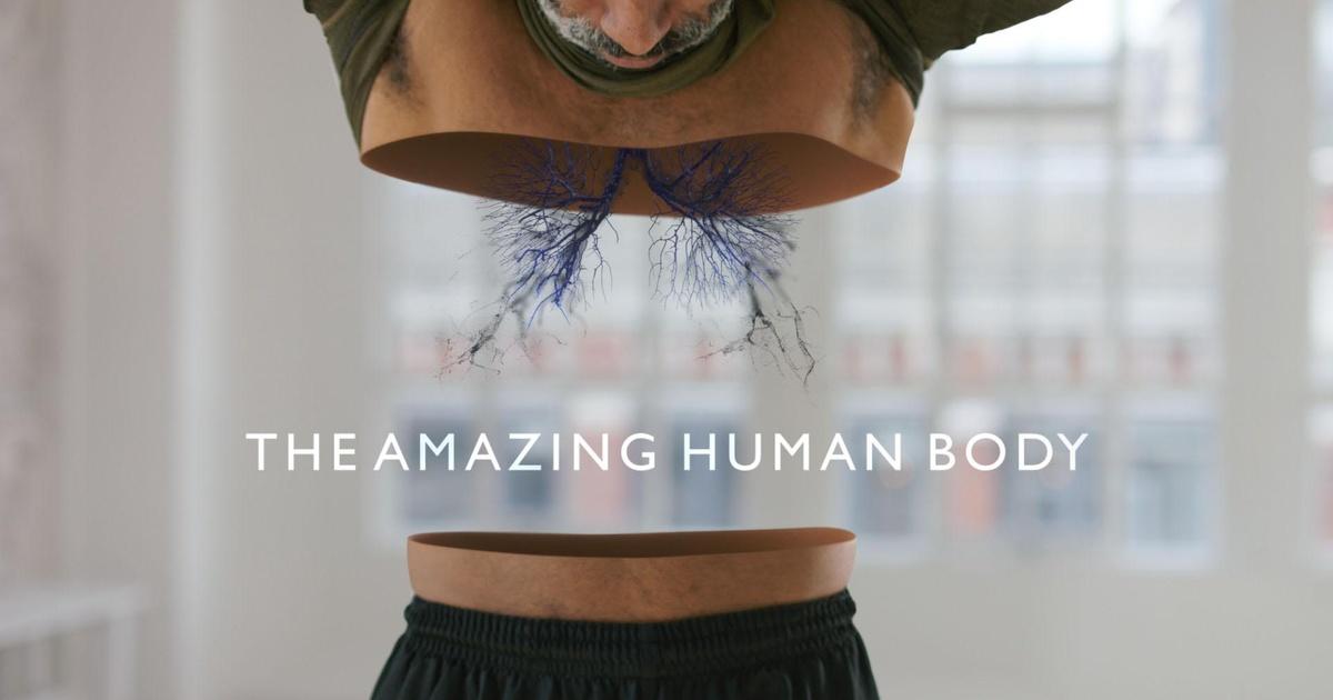The Amazing Human Body | PBS