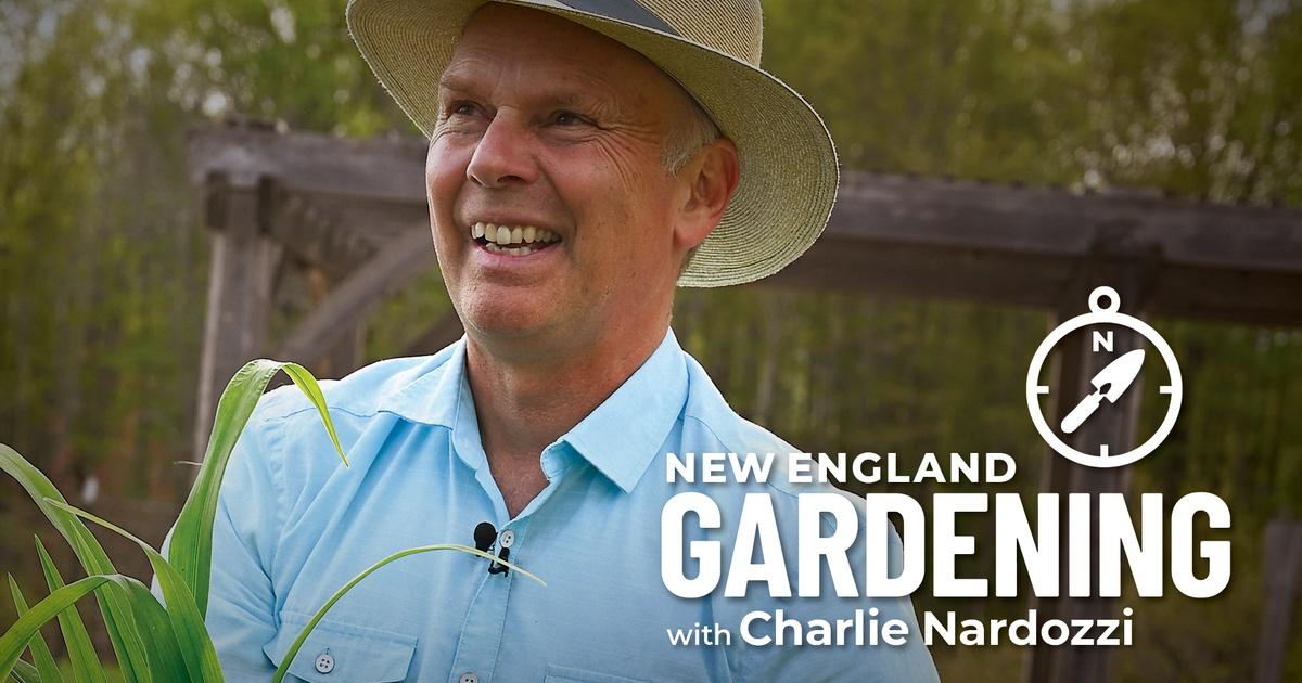 New England Gardening with Charlie Nardozzi | PBS