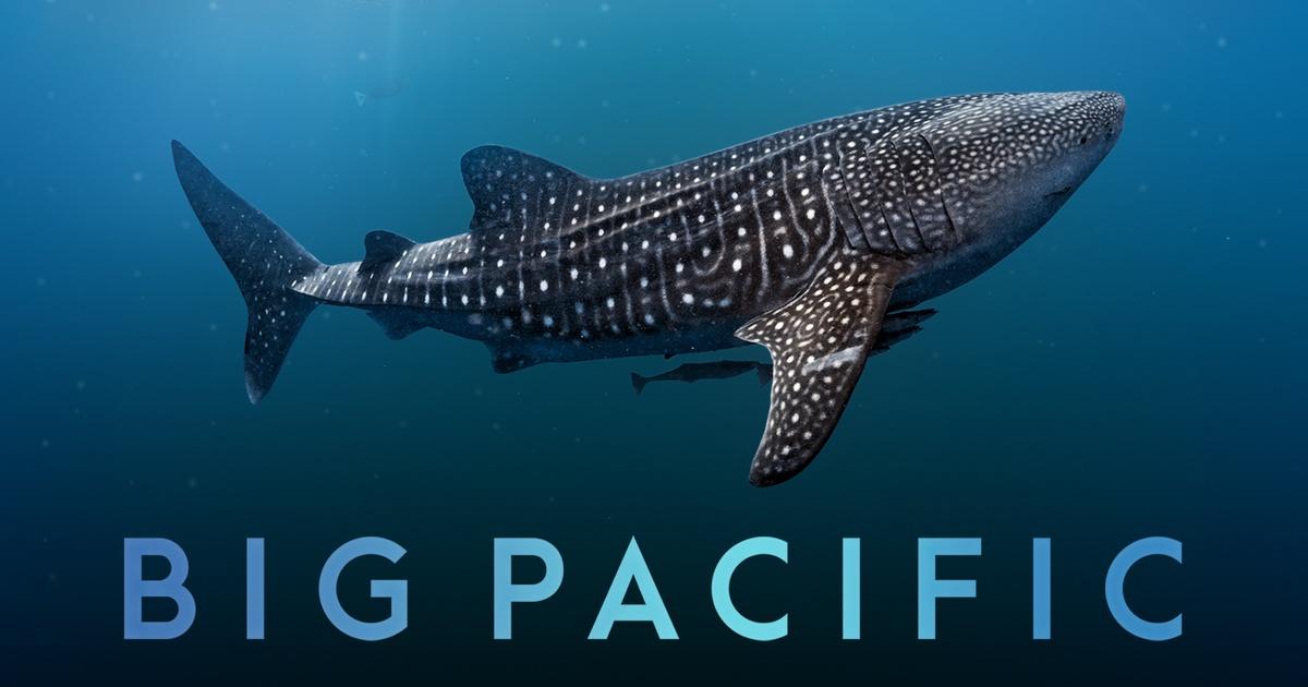 Big Pacific | PBS