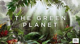 The Green Planet | Video | THIRTEEN - New York Public Media