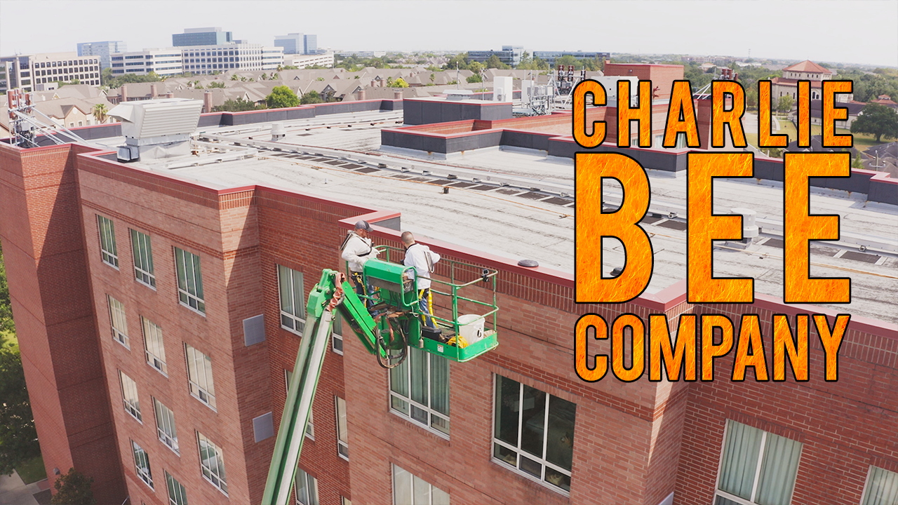 Charlie Bee Company | Rocky Mountain PBS