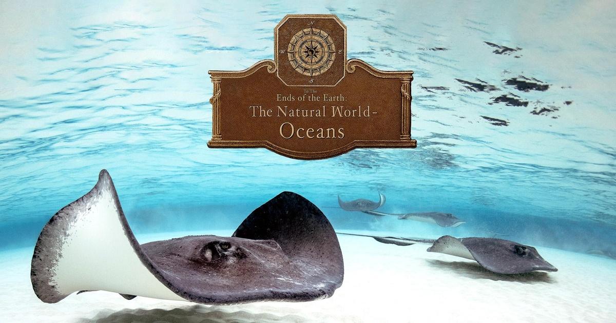 To the Ends of the Earth: The Natural World - Oceans | PBS