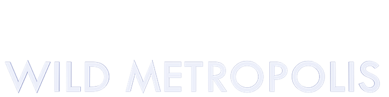 Wild Metropolis | PBS