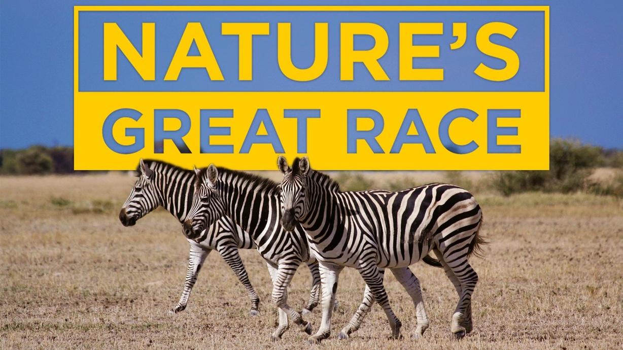 Nature's Great Race | Watch on PBS Wisconsin
