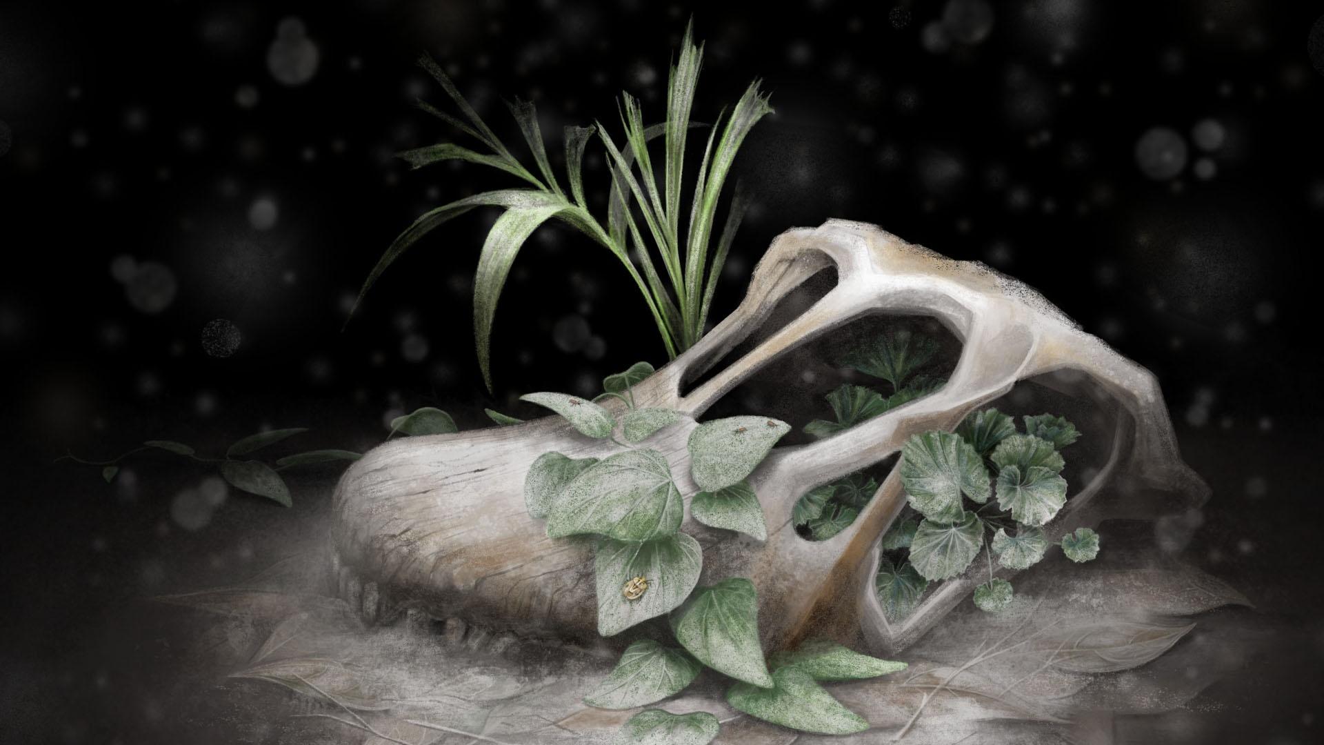 Something Has Been Making This Mark For 500 Million Years | Rocky ...