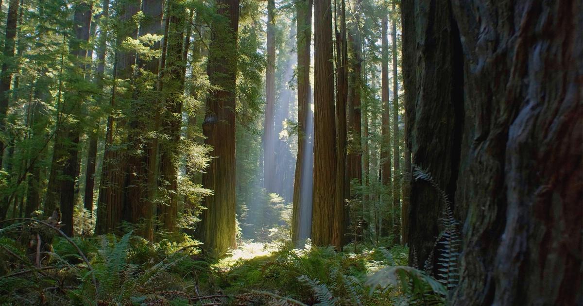 Giants Rising | PBS