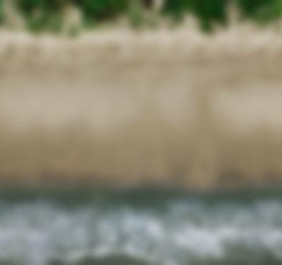 Chasing the Tide | PBS