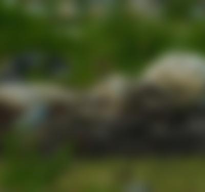 Dynamic Planet | PBS