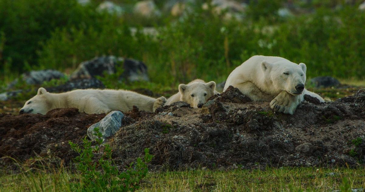 Dynamic Planet | PBS