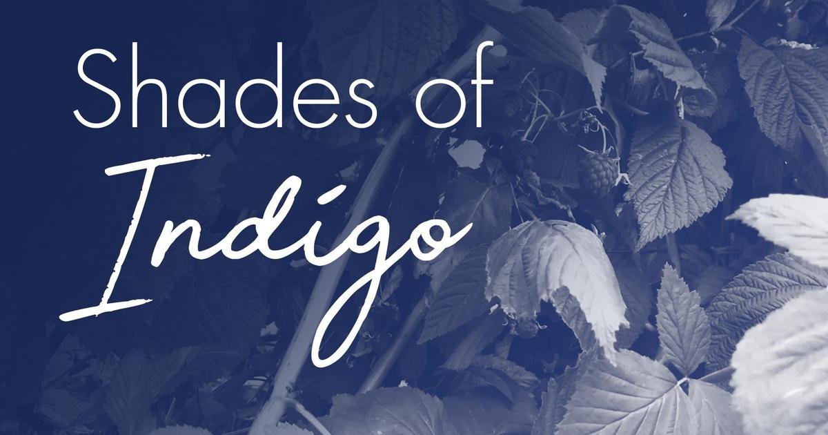 Shades of Indigo | PBS