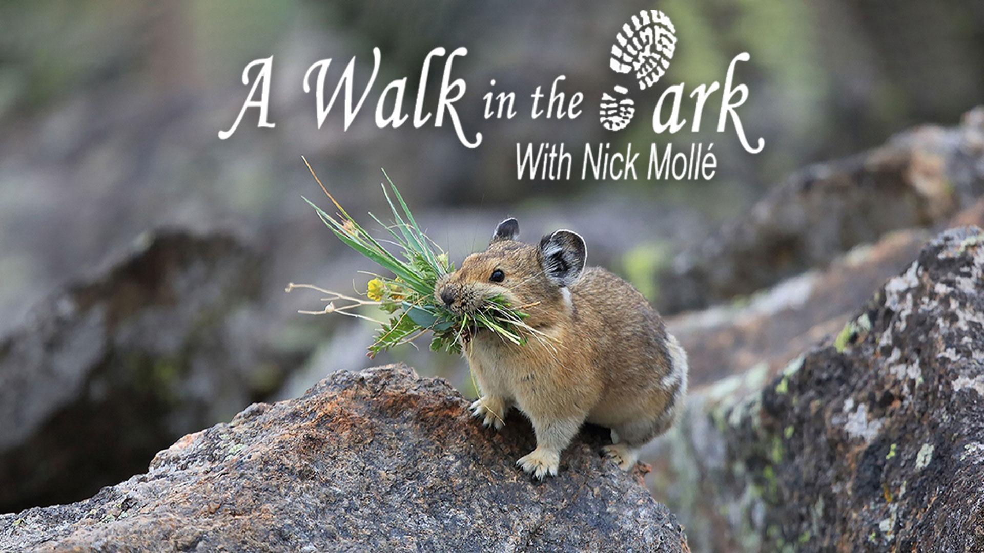 WHRO Radio & TV Programs, Podcasts, Episodes