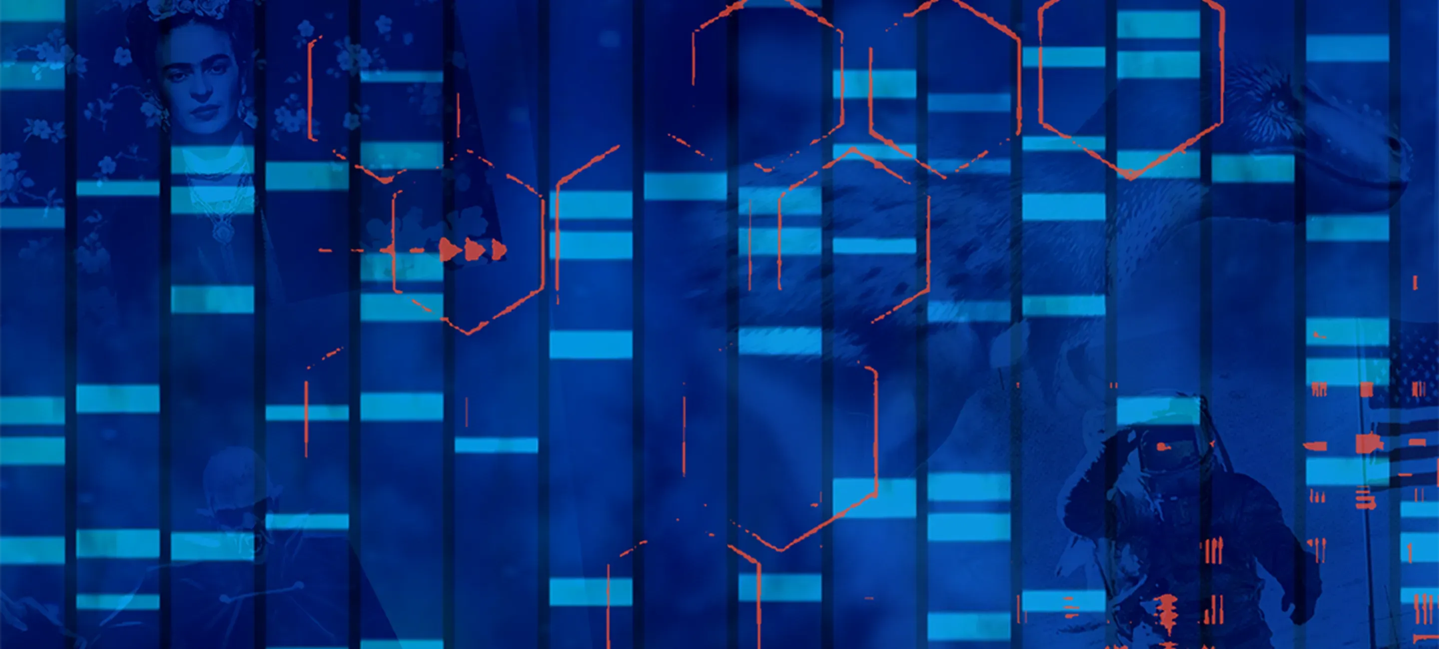 Digital Studios | PBS