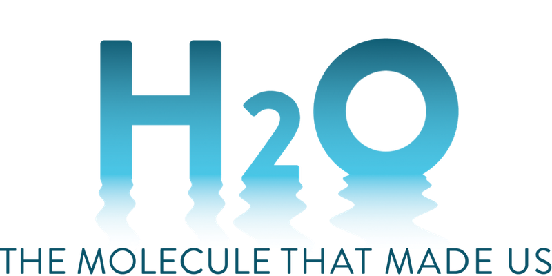 The Molecule That Made Us | PBS