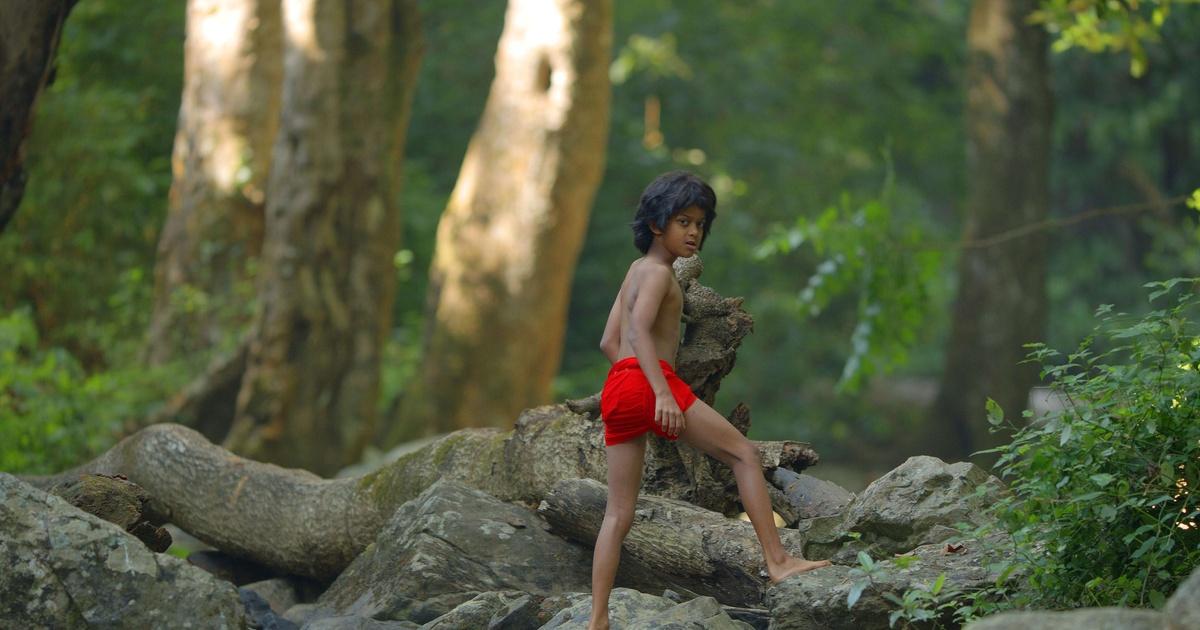 The Real Jungle Book | PBS