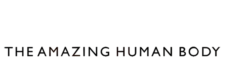 The Amazing Human Body | PBS