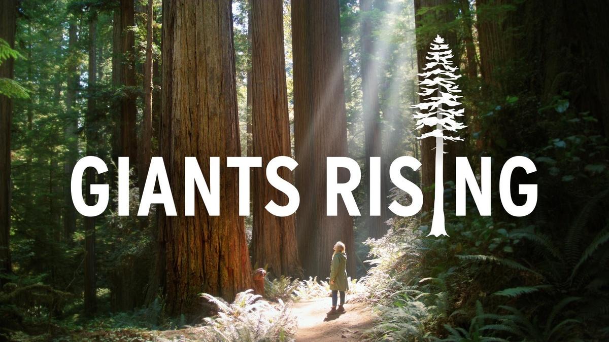 Giants Rising | Video | THIRTEEN - New York Public Media