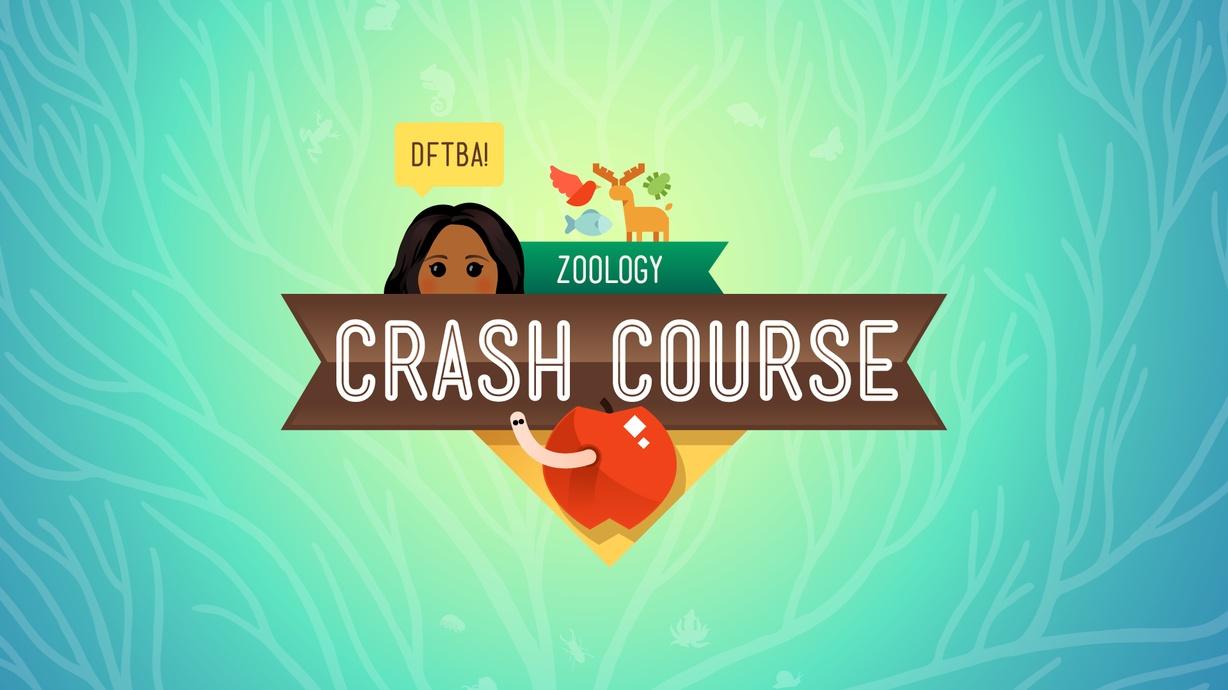 Crash Course Zoology | Watch on PBS Wisconsin