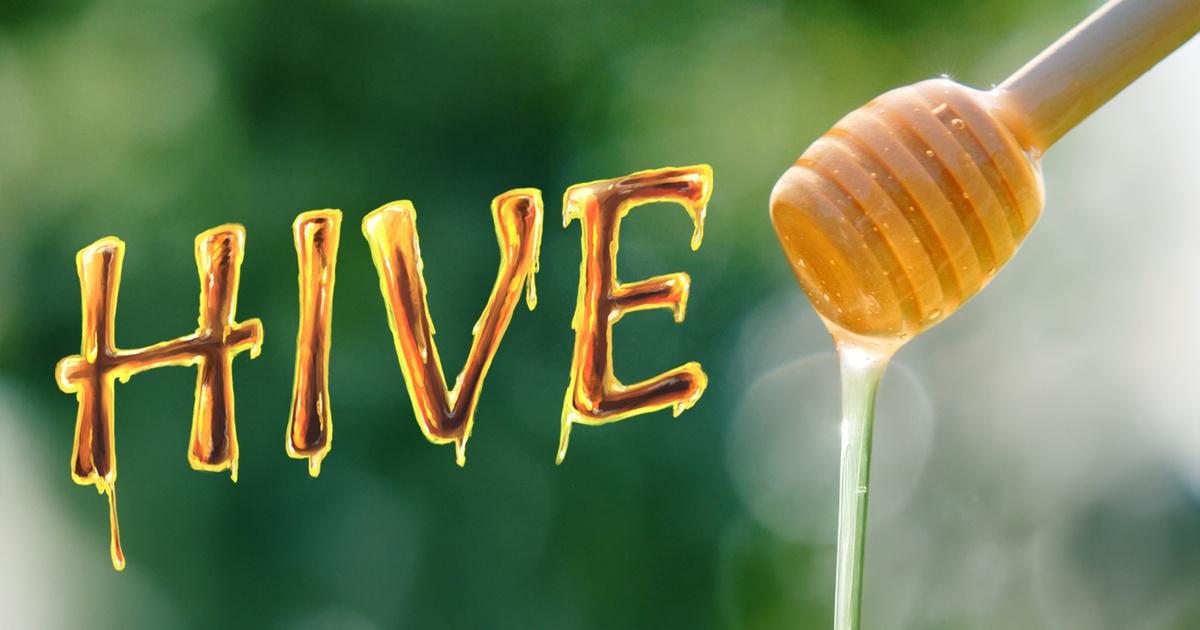HIVE | PBS