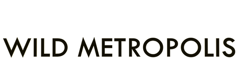 Wild Metropolis | PBS