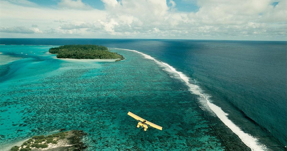 MacGillivray Freeman's Coral Reef Adventure | PBS