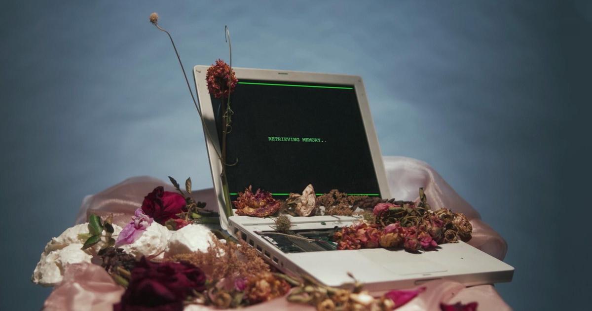 Border Blaster | PBS