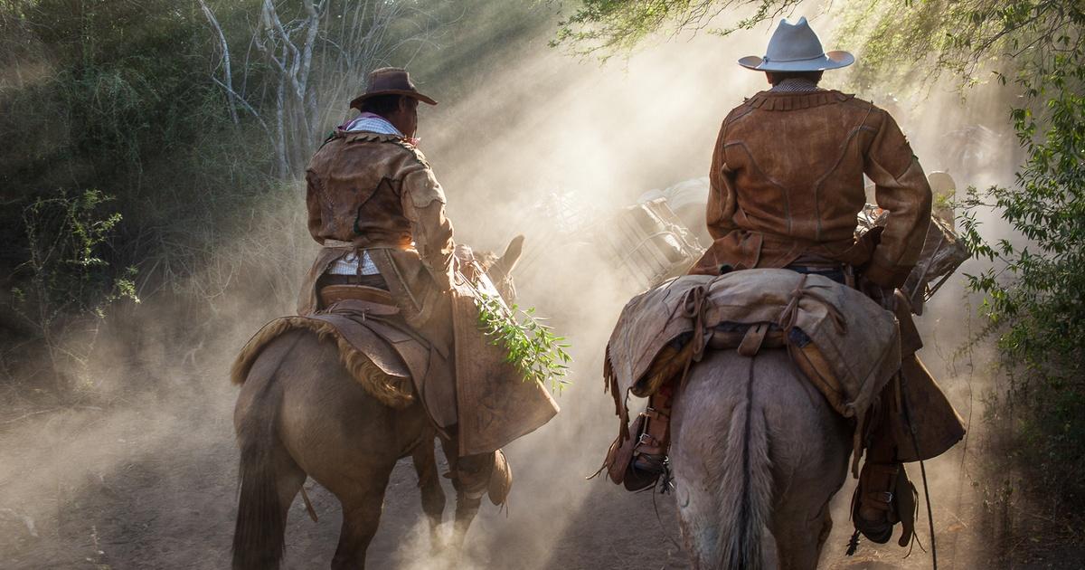 La Recua: The Mule Pack Train | PBS