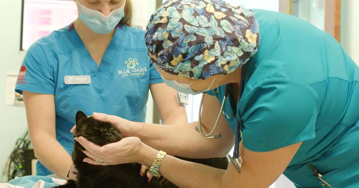 The Cost of Caring | PBS