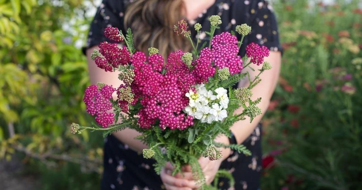 Modern Gardener | PBS