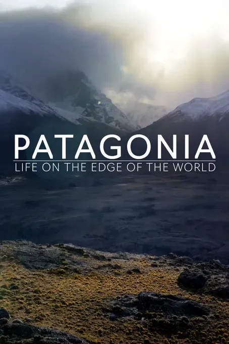 The Brain with David Eagleman | PBS