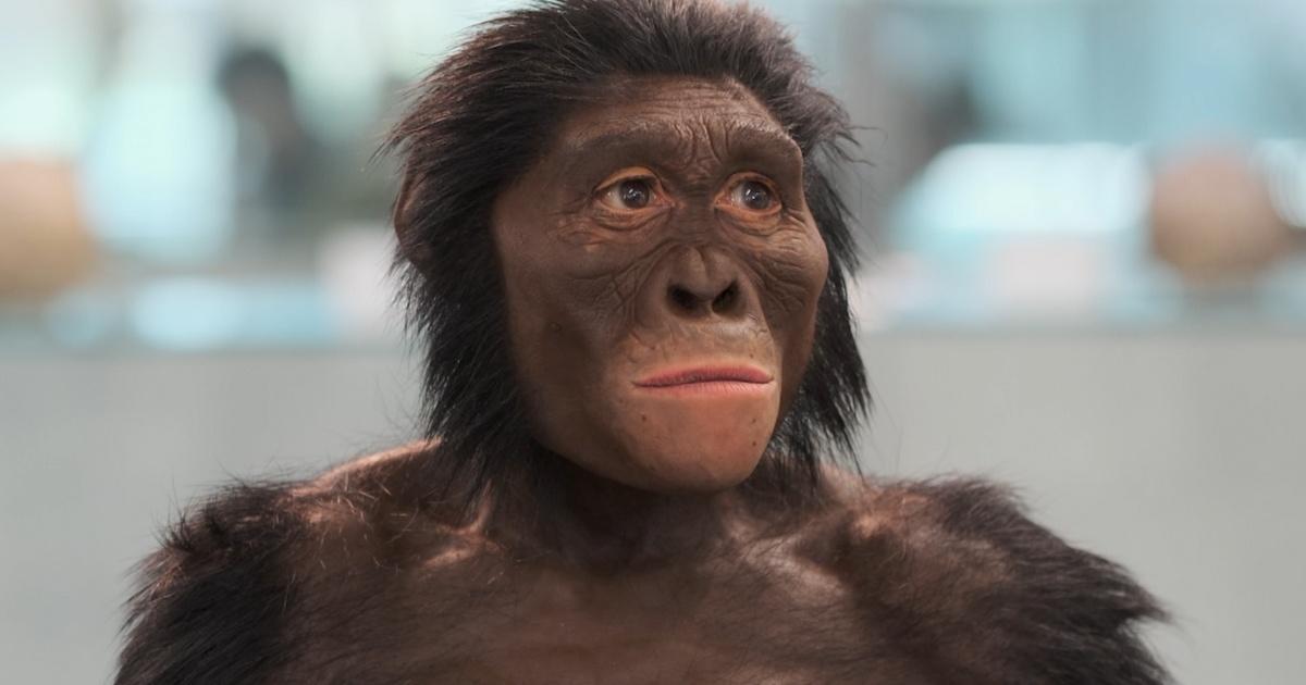 Lucy's Lasting Legacy | PBS