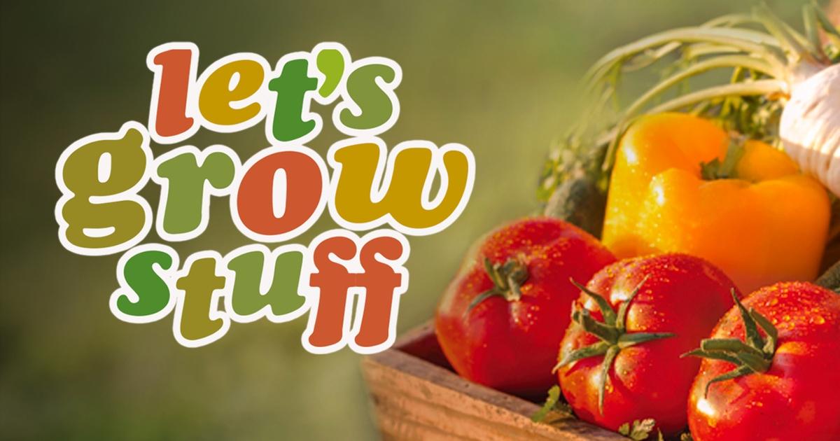 Let's Grow Stuff | PBS