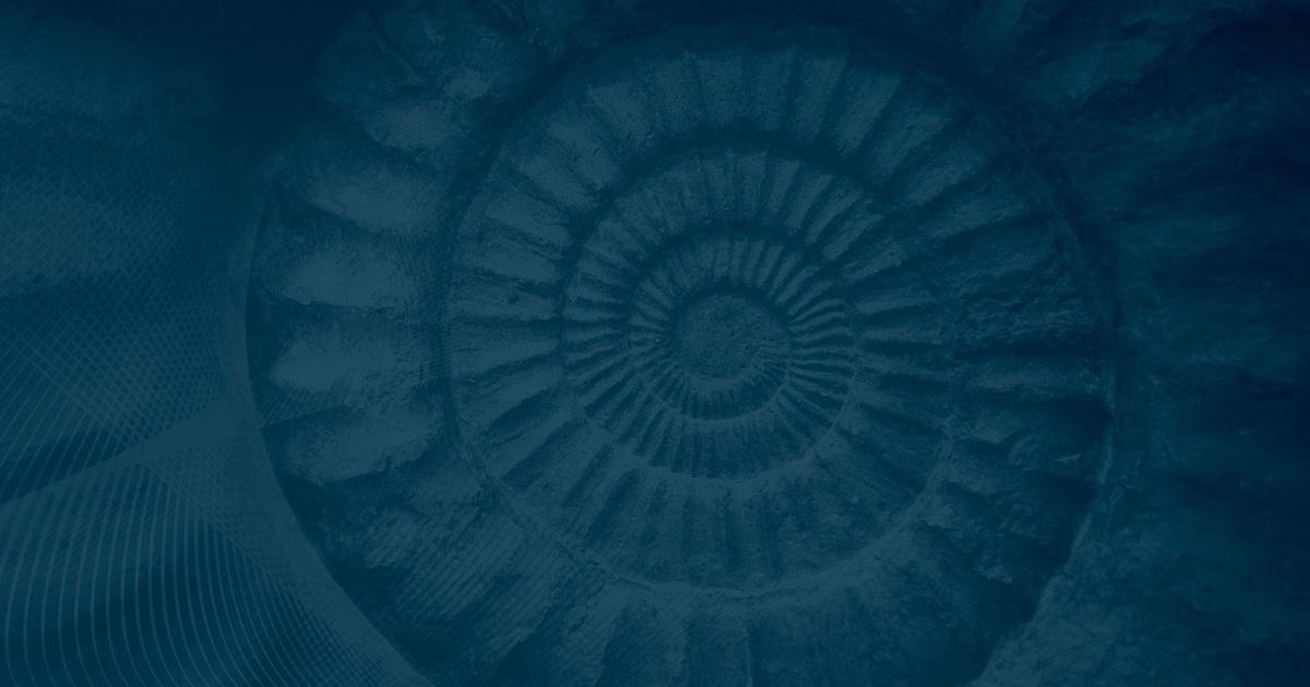 University Place | Houston PBS