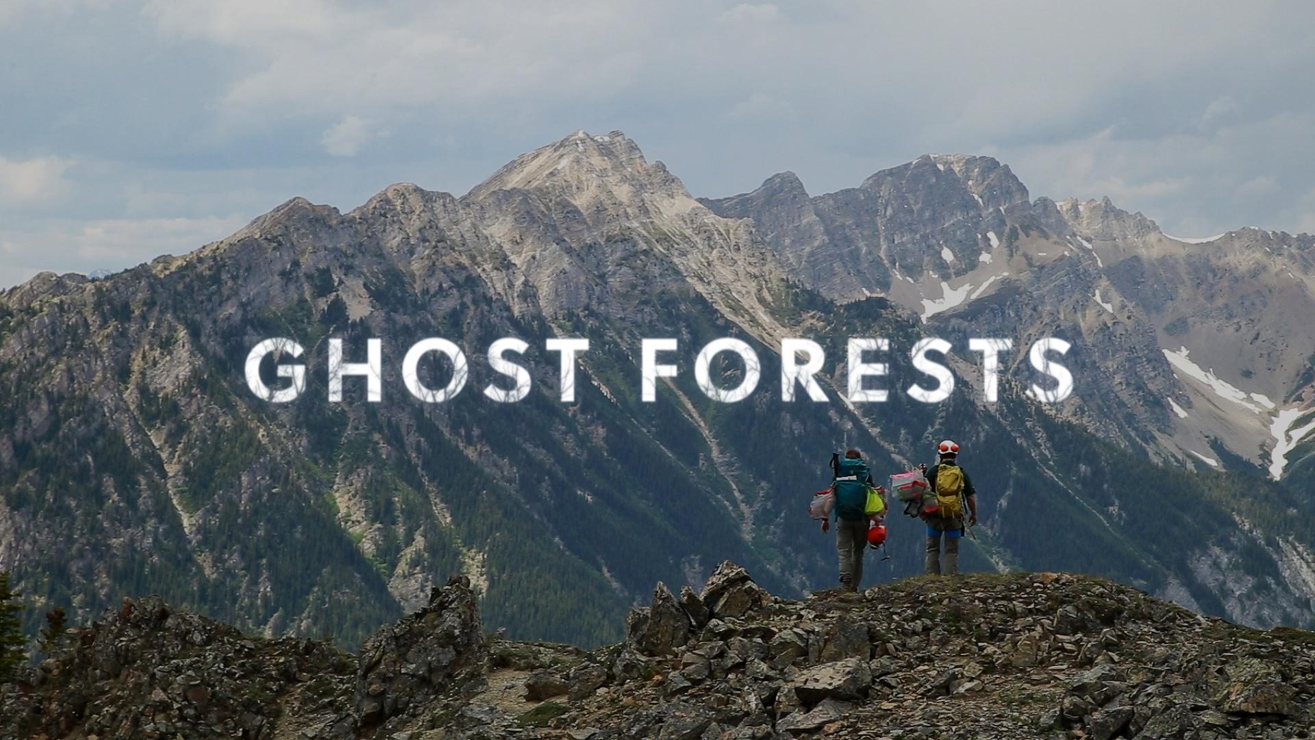 Ghost Forests | KET