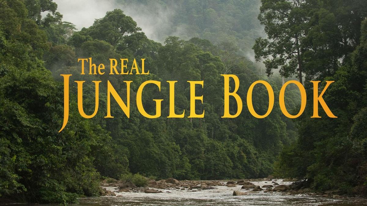 The Real Jungle Book | Video | NJ PBS