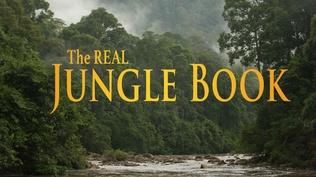 The Real Jungle Book | Video | NJ PBS