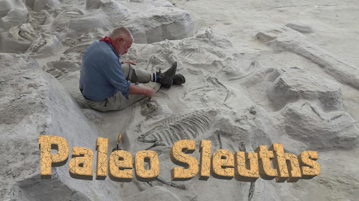 Paleo Sleuths | Watch on PBS Wisconsin