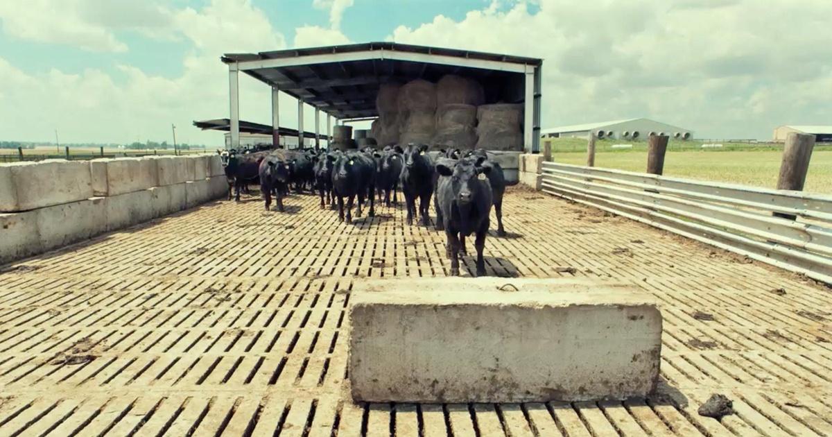 Monrovia, Indiana | PBS