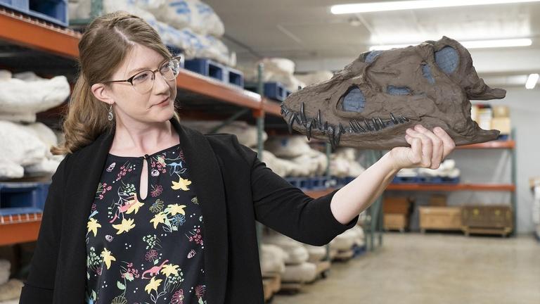 Prehistoric Road Trip | PBS