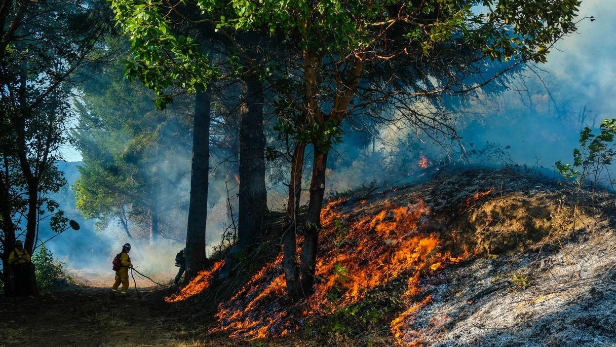 Dynamic Planet | PBS