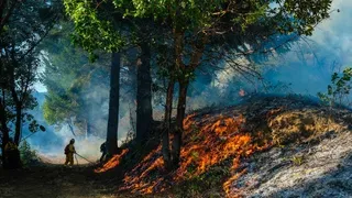 Dynamic Planet | PBS