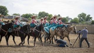 Human: The World Within | PBS