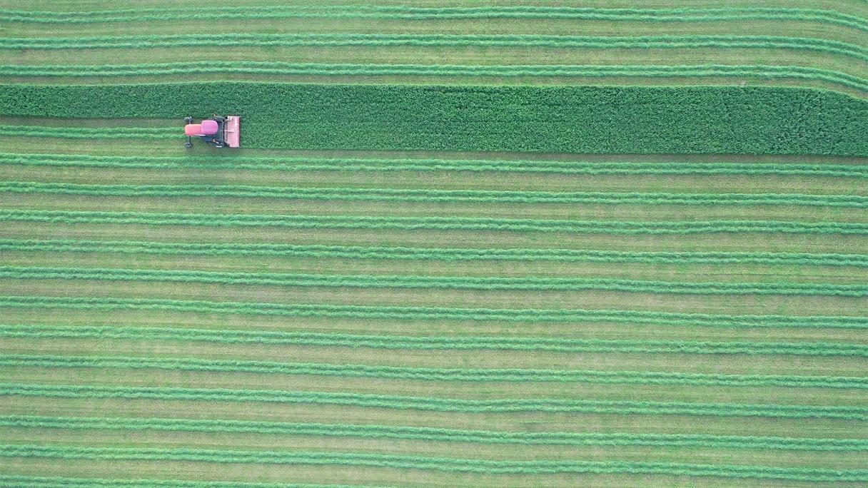 Evolution Earth | PBS