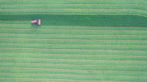 Evolution Earth | PBS