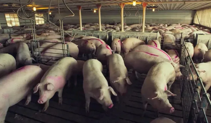 Monrovia, Indiana | PBS