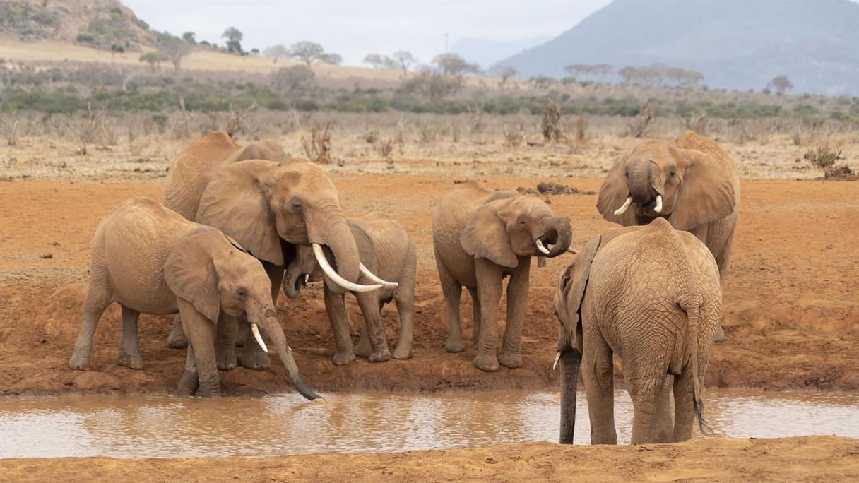 Changing Planet | PBS